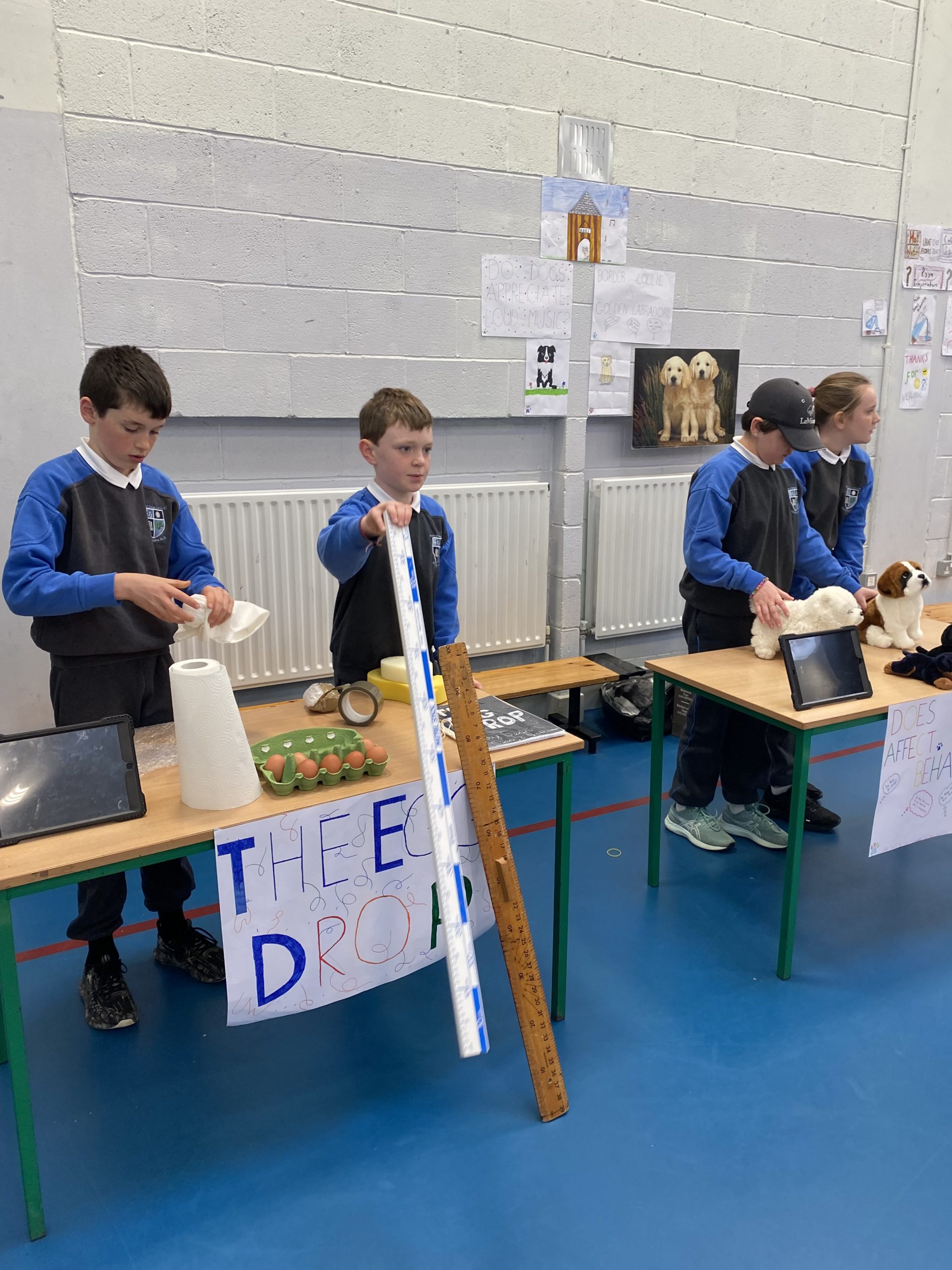 Rathmore National School - Scoil Chéile Chríost, Rathmore, Naas, Co ...